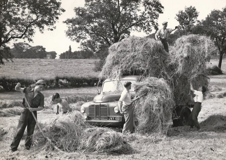 Mount Farm - Aireborough Historical Society
